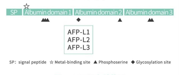 Bioeast Biotech - One-stop Supplier of IVD Raw Materials
